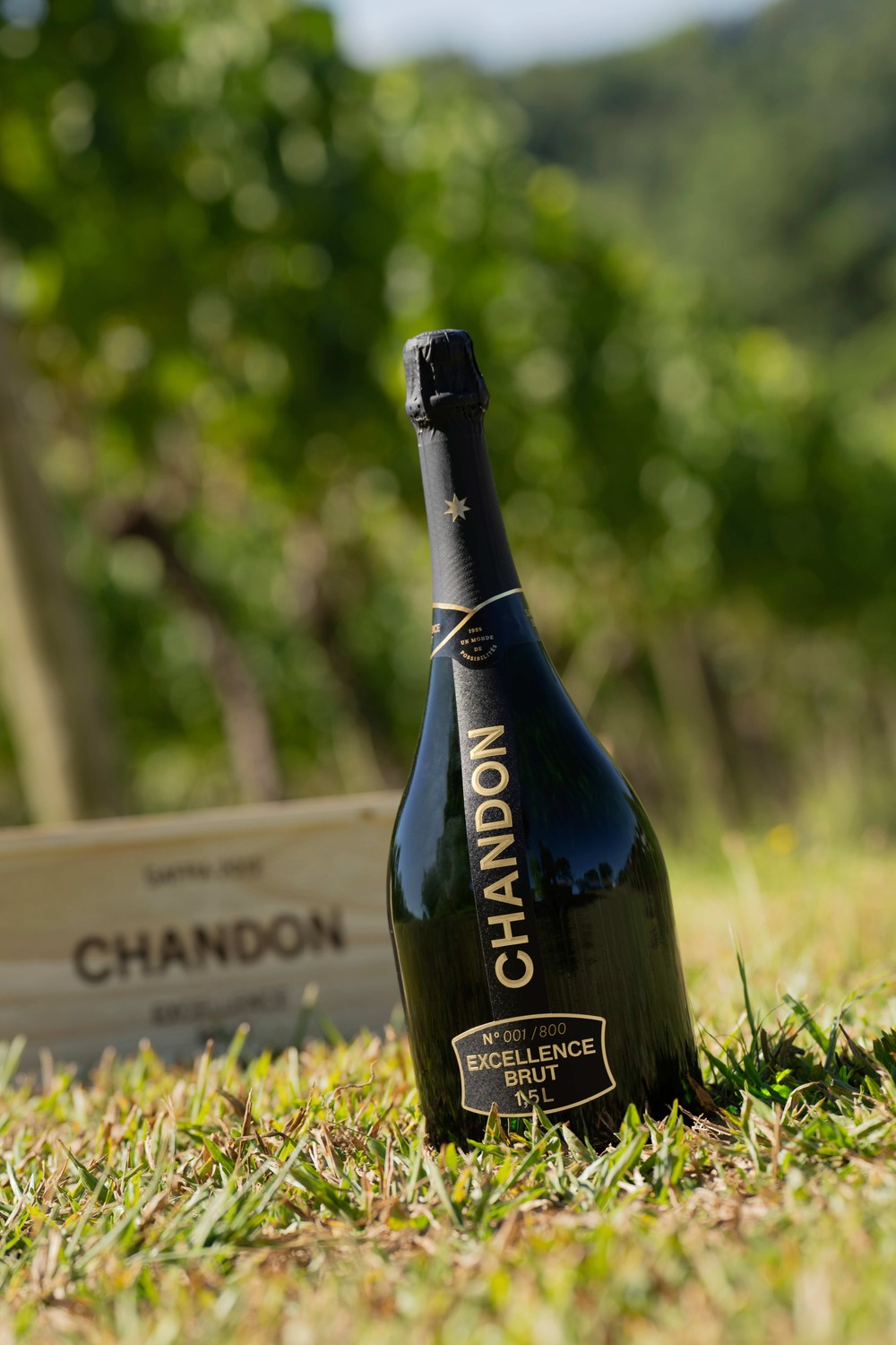 Tudo sobre a edição limitada do Chandon Excellence Magnum