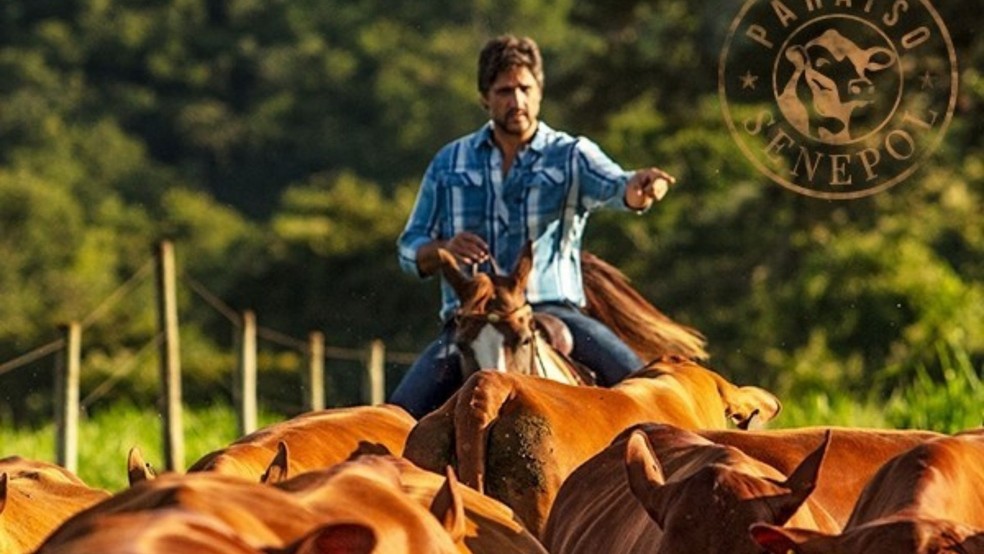 Sertanejo Leo Chaves ganha dinheiro com criação e venda de gados de ...