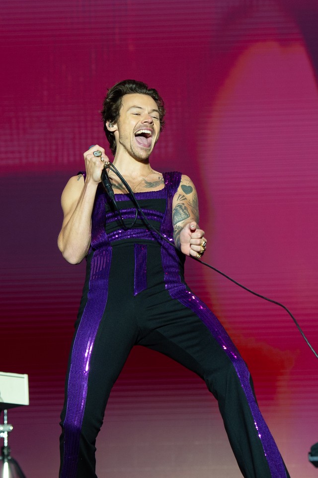 Harry Styles faz 30 anos: veja 30 looks do cantor