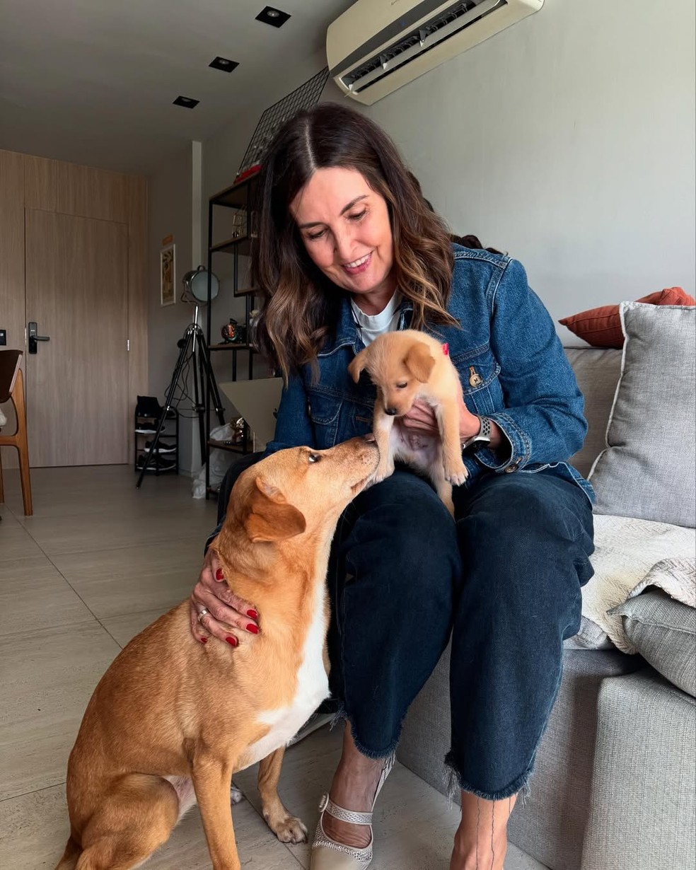 Fátima Bernardes adota novo cachorro e dá nome parecido com ator famoso ...