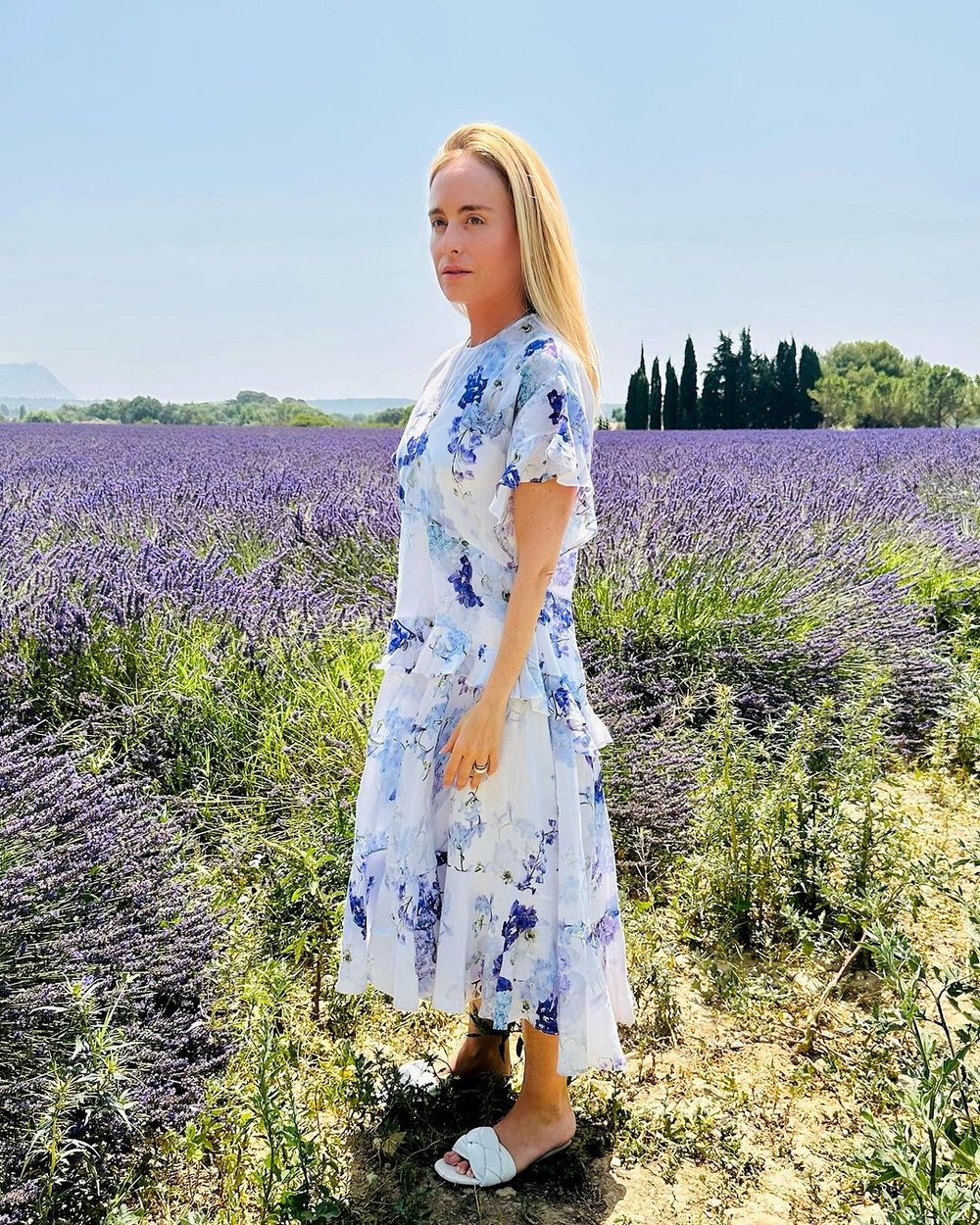 Angélica posa em campo de lavanda e chama atenção de seguidores ...