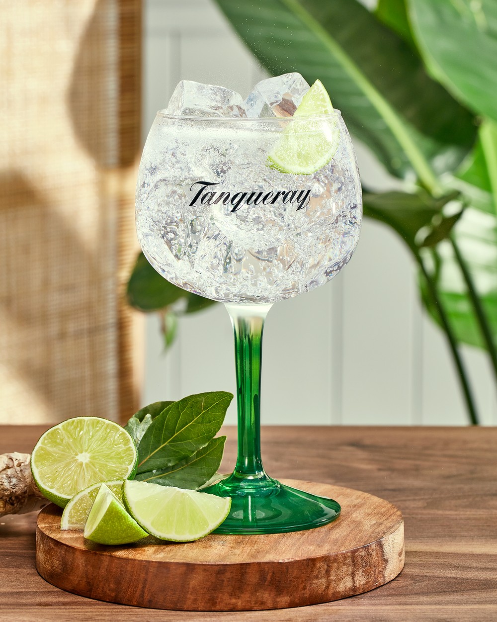 Gin Tônica: receitas especiais para curtir o destilado