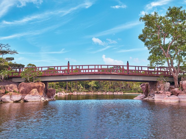 Recorde de brasileiros em 2025 impulsiona Palm Beaches na disputa com ...
