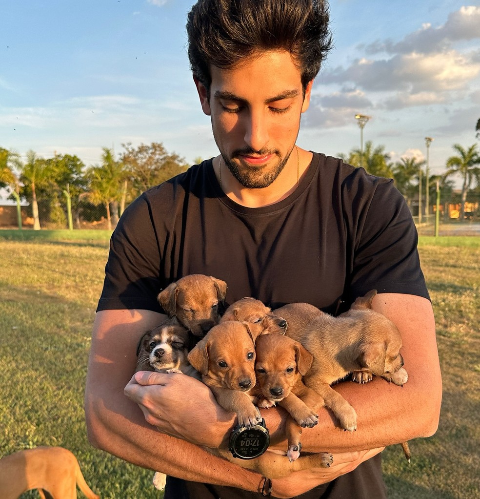 Pai de 40 cachorros e apresentador de TV: quem é Julinho Casares, que ...