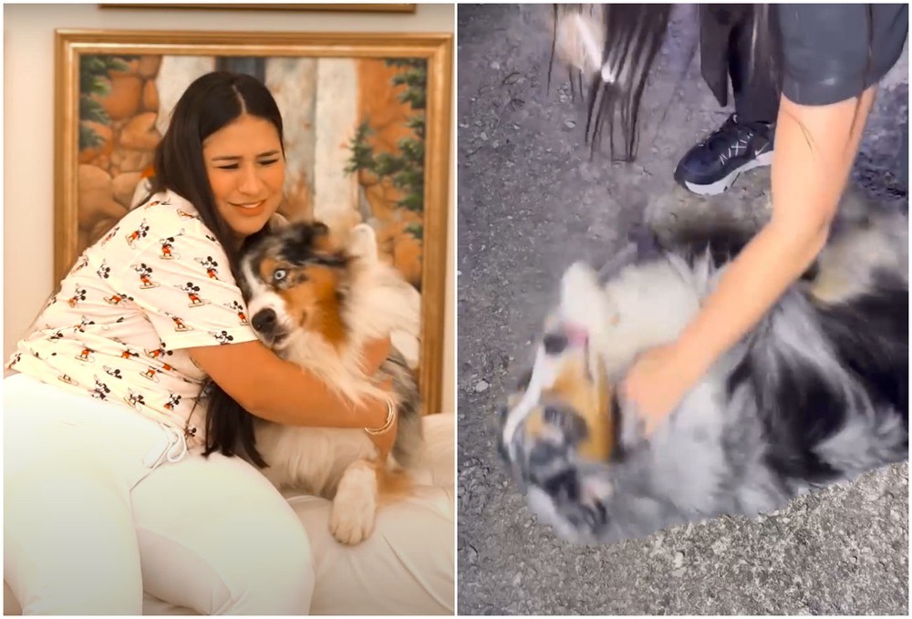 Simone Mendes é chamada a atenção por vizinho famoso após seu pet ...