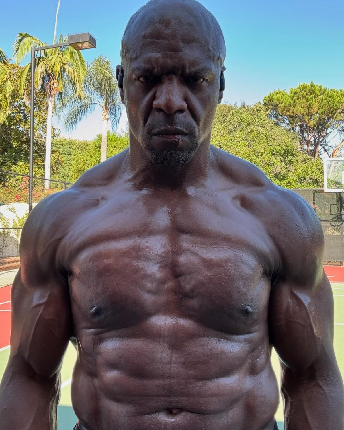Aos 56 anos, Terry Crews impressiona ao mostrar o físico: 'treino em dia'