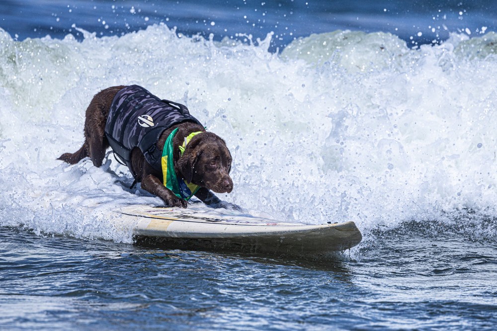 Corrida, natação e petisco: o treino do atleta que pega onda com seus ...