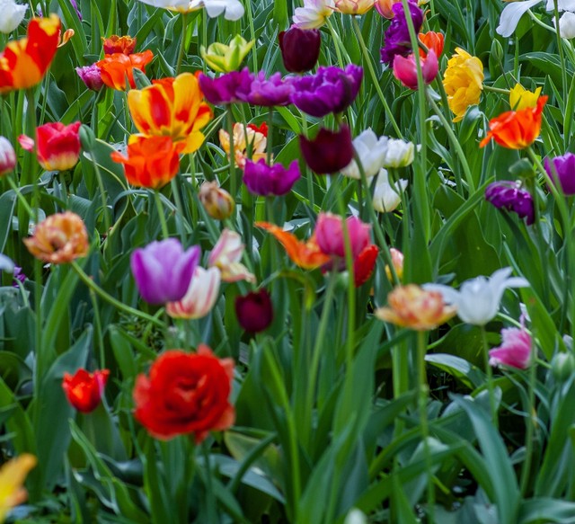 Primavera: 5 itens para sua casa na estação