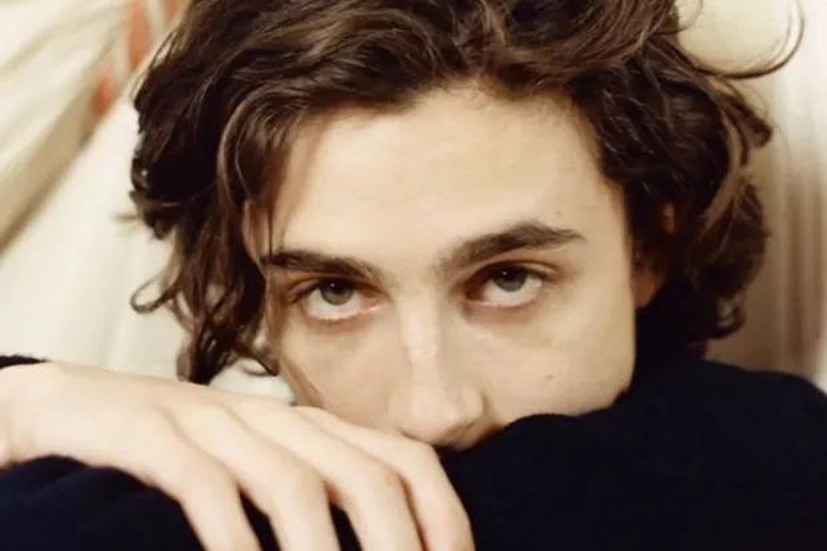 Timothée Chalamet: conheça o trabalho do ator em 5 produções ...