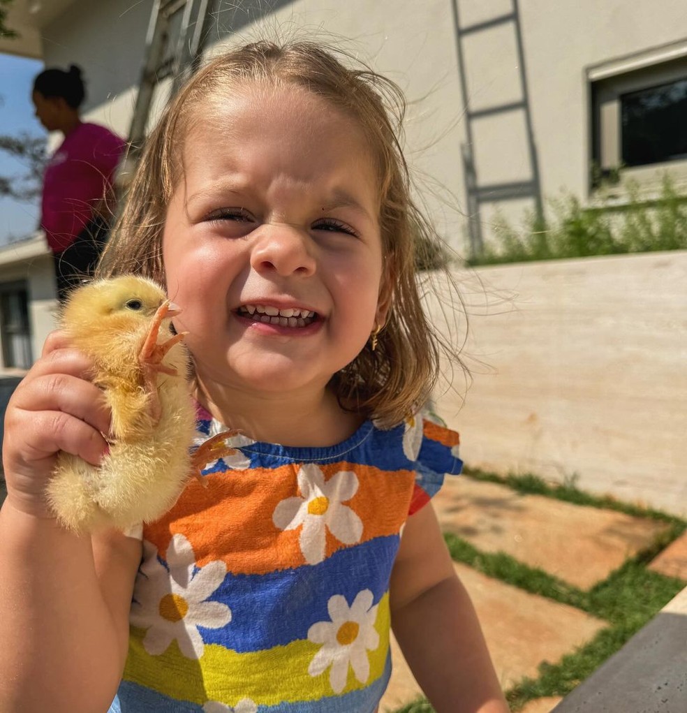 Virginia Fonseca e família adotam pintinhos: 'quanto amor'